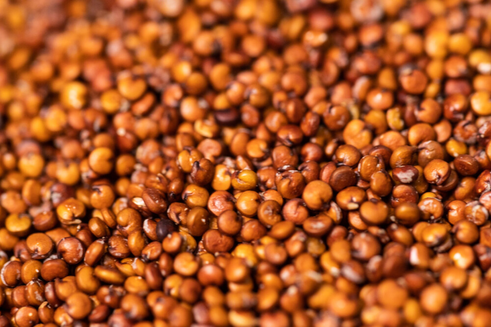 Market Report Quinoa 2023 - Ziegler Organic EN