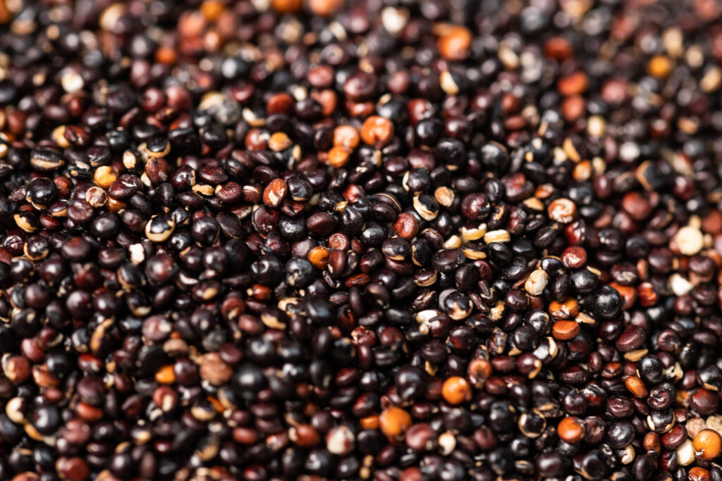 Market Report Quinoa 2023 - Ziegler Organic EN